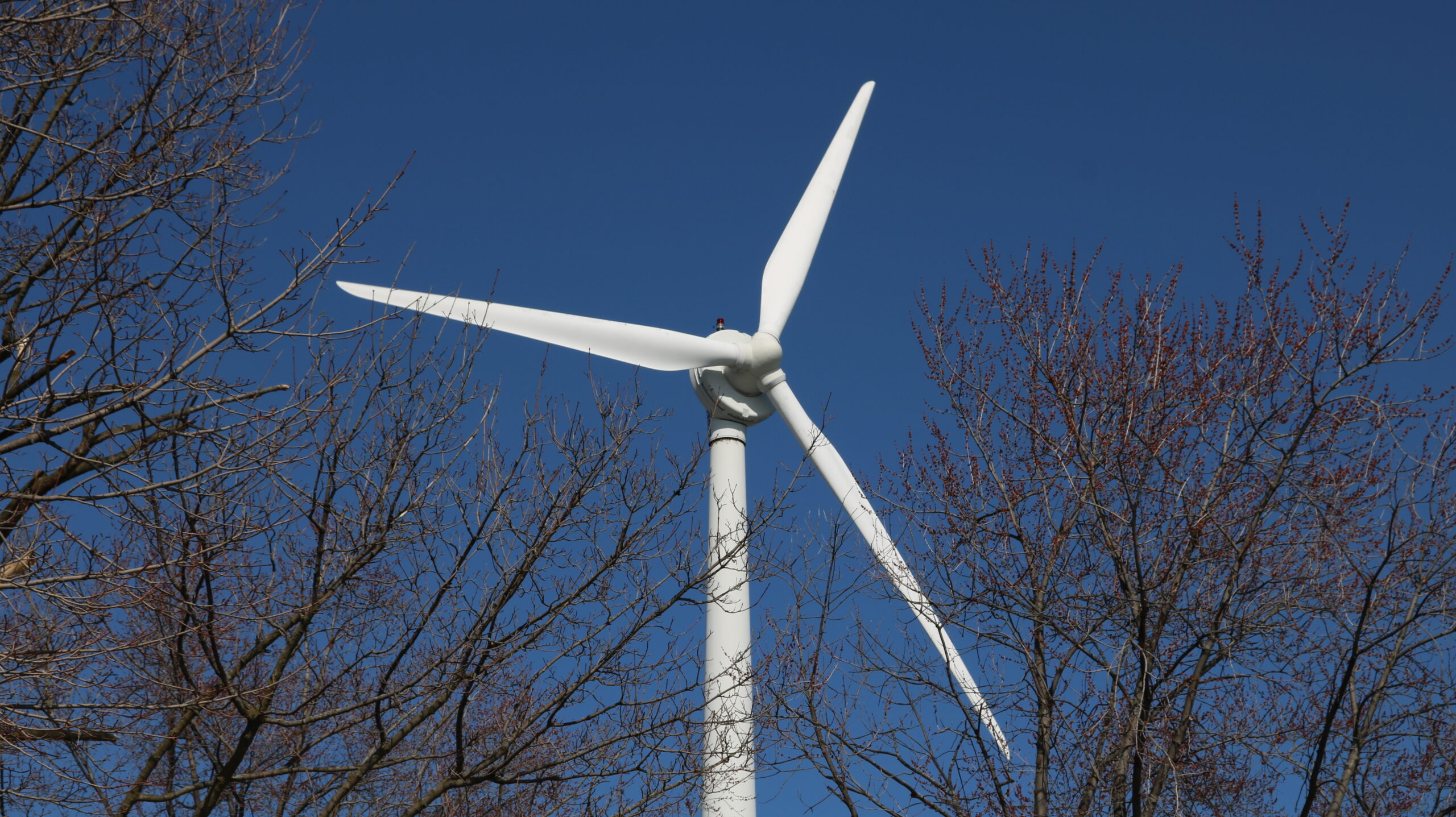 Shaping a Renewable Future with Indigenous Youth – T·